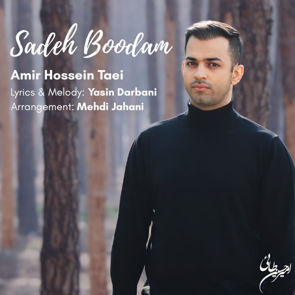 دانلود آهنگ جدید امیرحسین طائی به نام ساده بودم - اورجینال موزیک